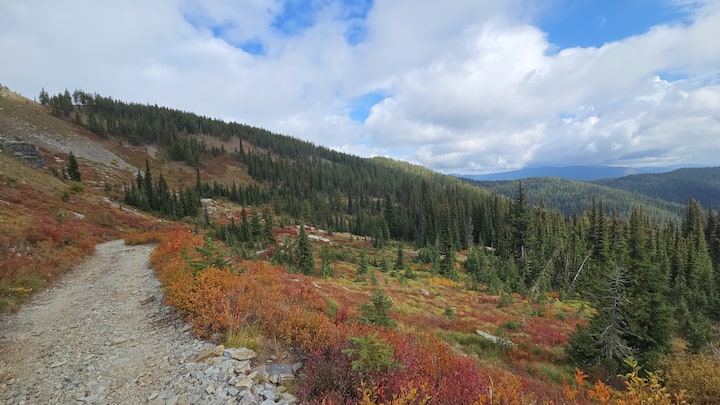 Experience North Idaho Fall Colors! - Silver Mountain Resort, ID