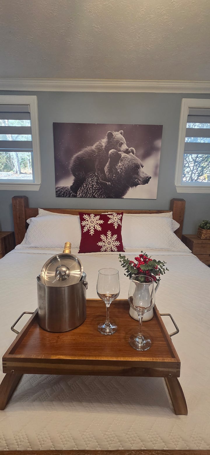 Cozy Garden Studio W/ Fireplace & Pool Table - Hendersonville, NC