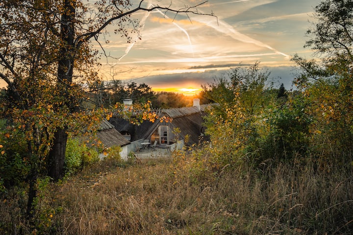 Luksus I Hønsehuset - Denmark