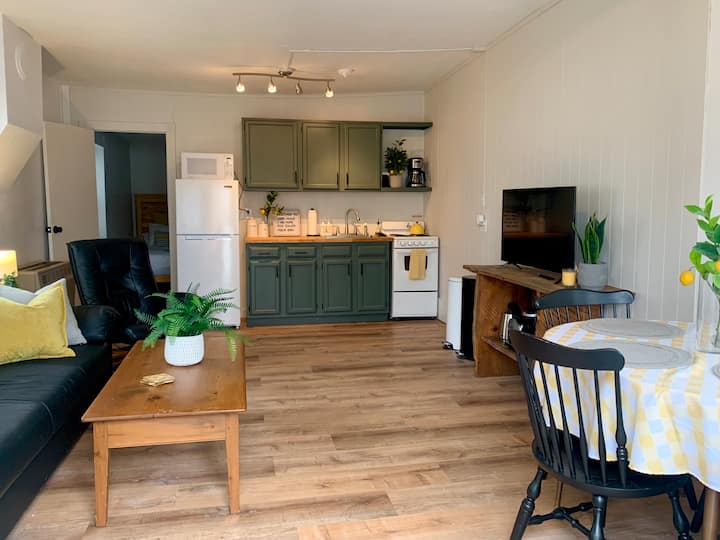 Cheerful Apartment In Saratoga Arts District - Saratoga Springs, NY