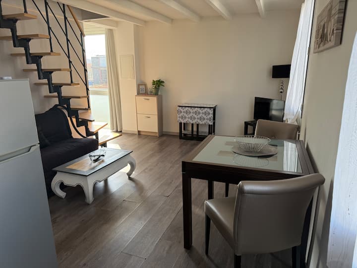 Grand T2 Lumineux Au 1er éTage D'une Maison - Tarbes