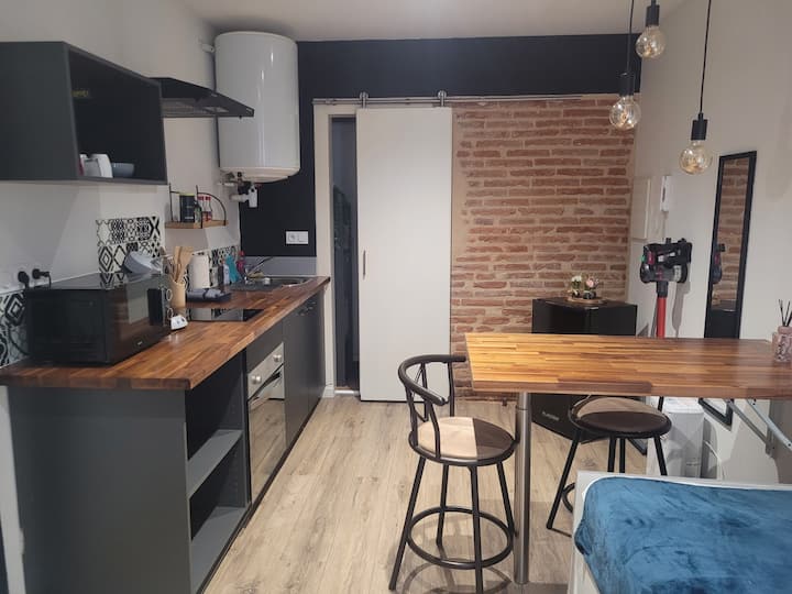 Studio Proche Centre Ville - Albi