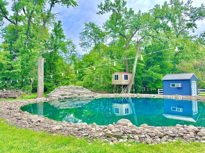 Shaggerties - Fun Cozy Catskill Mountain Getaway - Woodstock, NY