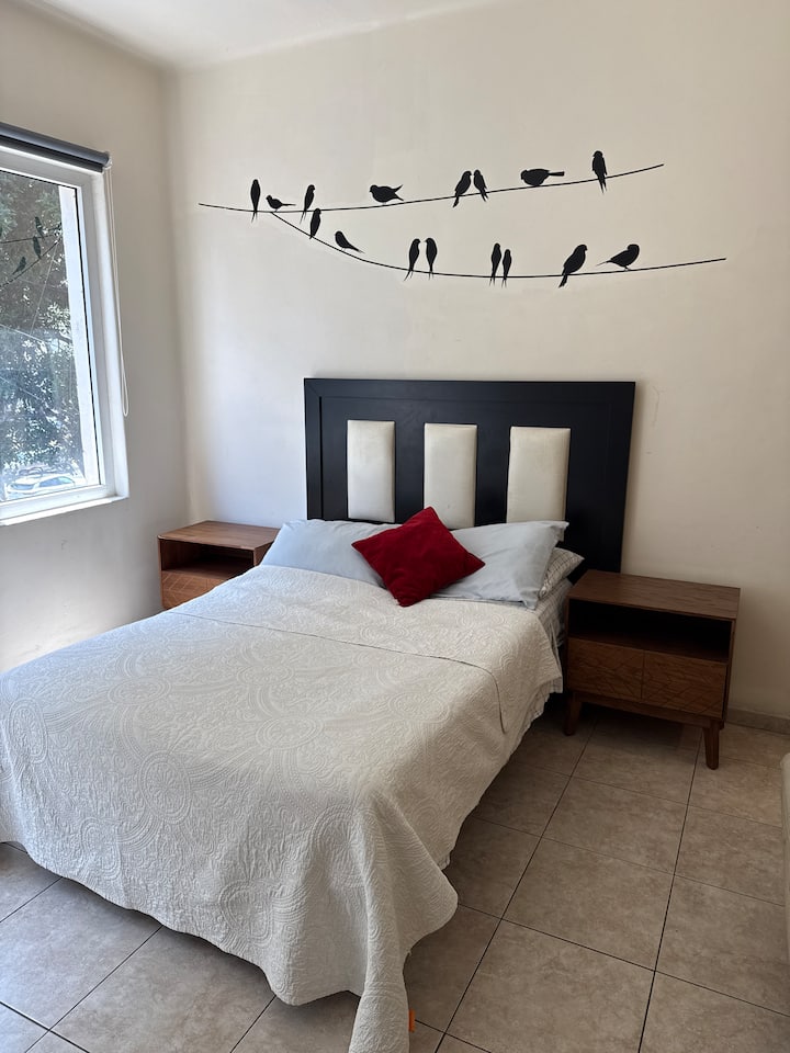 Spacious, Centrally Located Studio Apartment Steps From Minerva - Guadalajara
