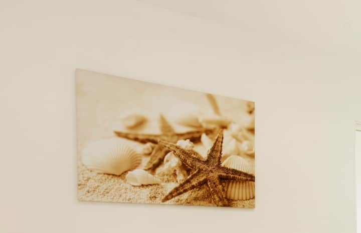 Appartamento-villa In Riva Al Mare: Stella Marina - Castiglione della Pescaia