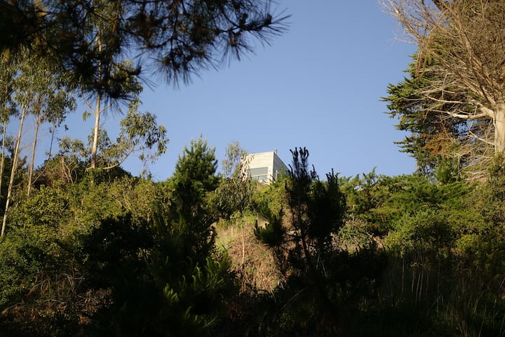 Punta Achira Faro - Cobquecura