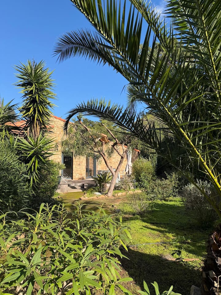 Maison Charme En Pierre, Plage à Pied, Terrasse - Lecci