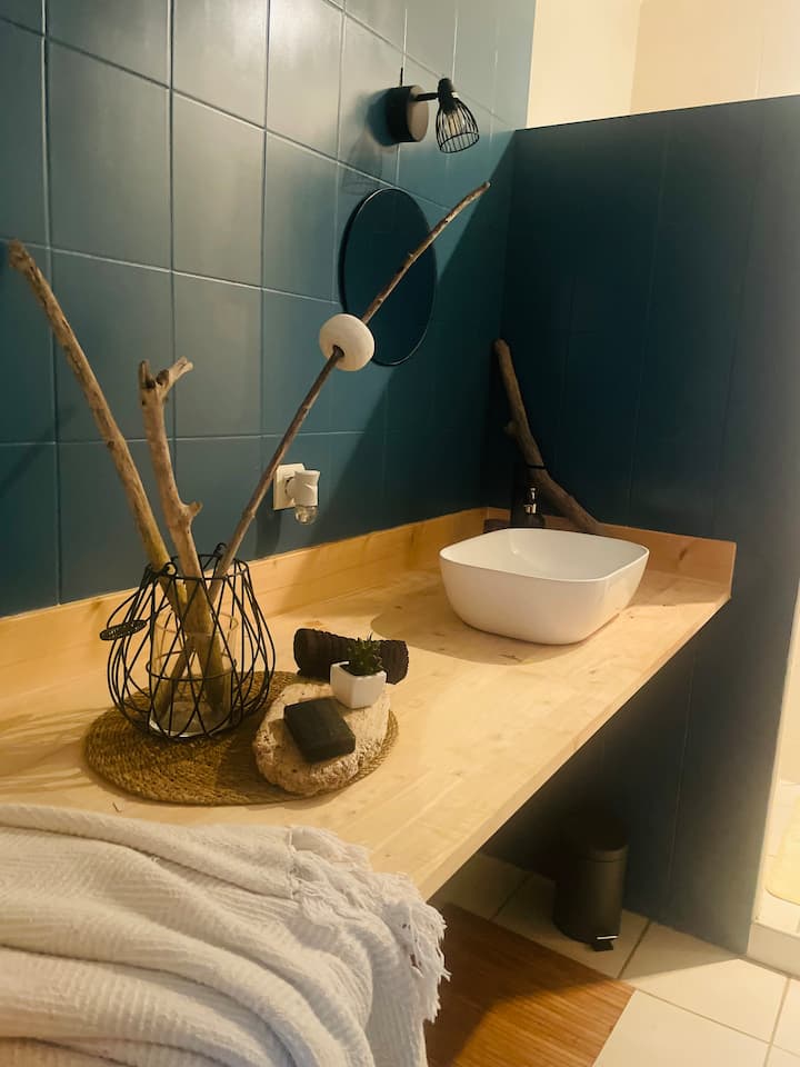 Centre Mont De Marsan Appartement T2 - Mont-de-Marsan