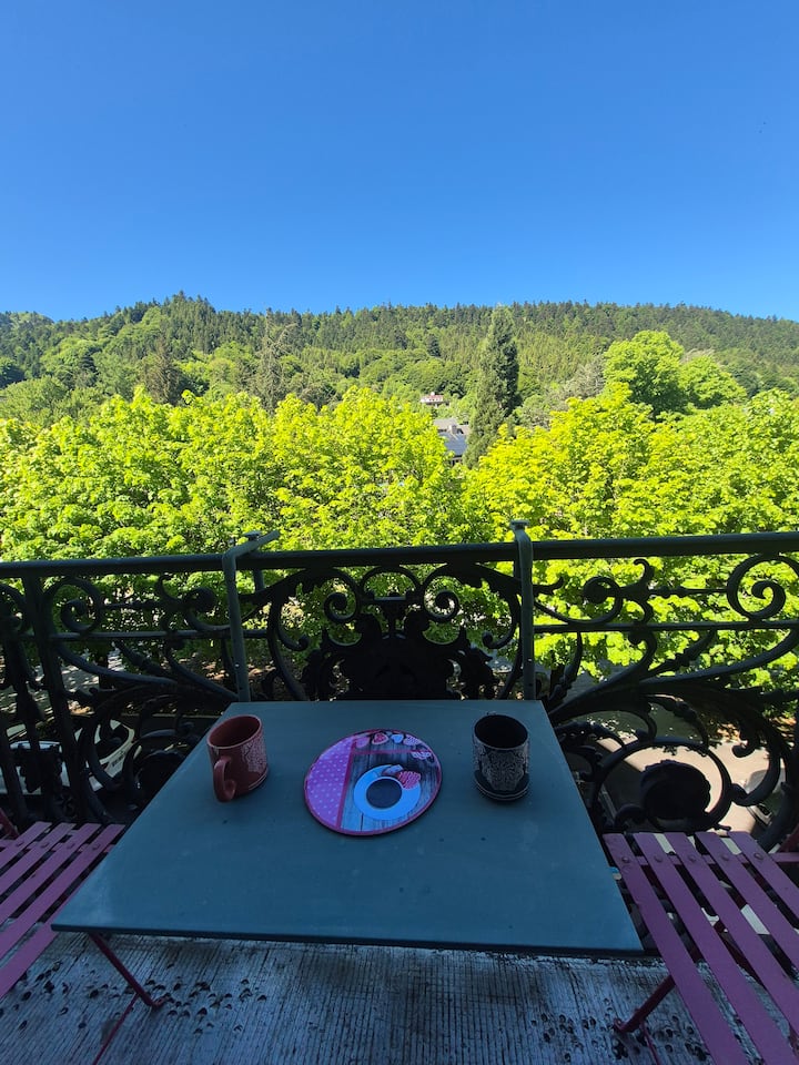 Balcons
Face Au Parc Appartement Chic 
Pour 2 Pers - Puy de Sancy