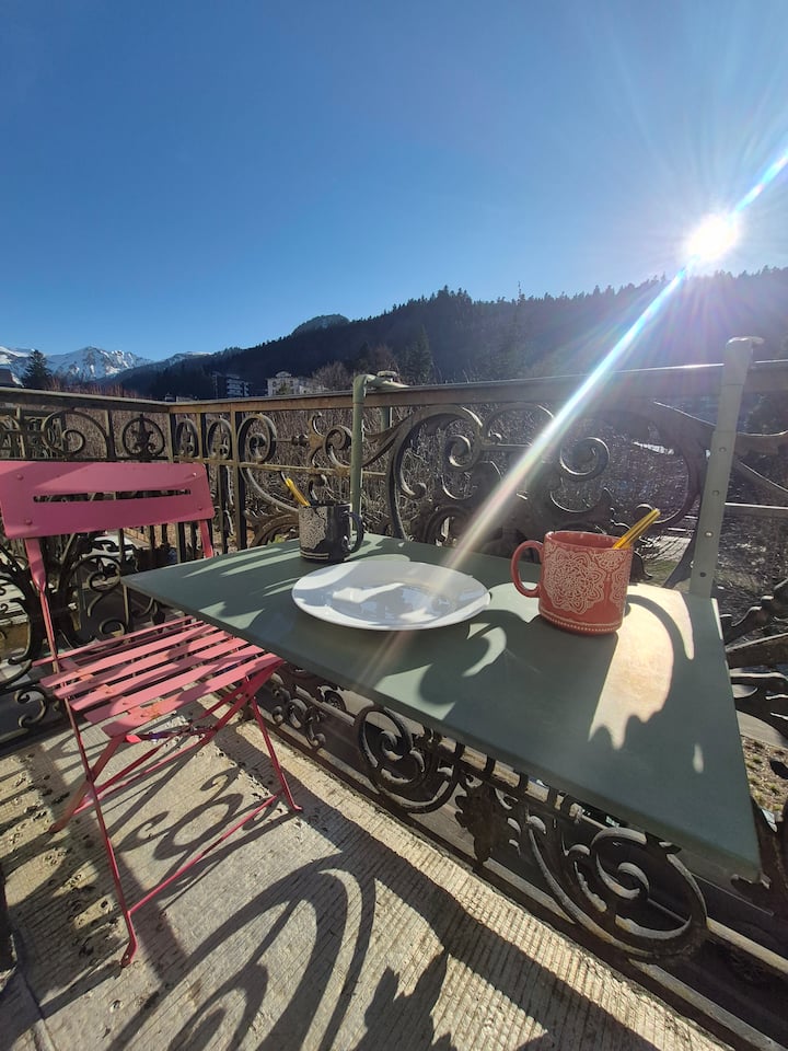 Balcons Face Au Parc Magnifique Vue 
F2 Pour 2pers - Mont-Dore