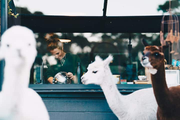 Rural Getaway: Alpacas, Pool, Spa, Gym, Pickleball - Tasmania