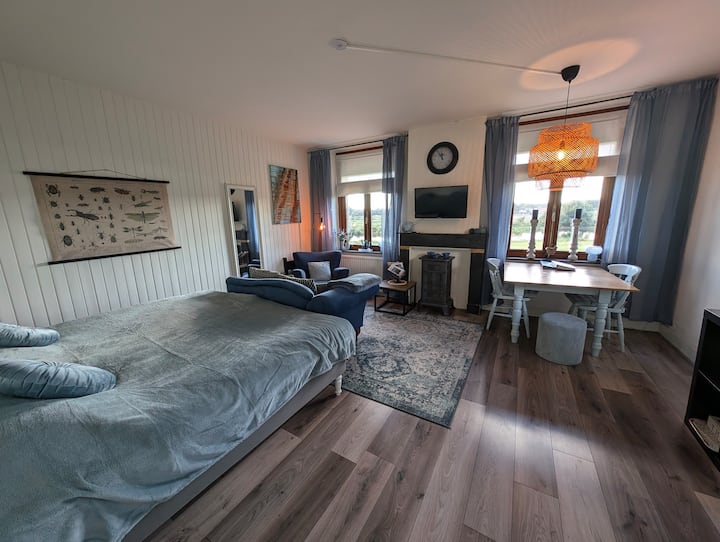 Puur Maastricht: Panoramastudio Aan De Grensmaas! - Maastricht