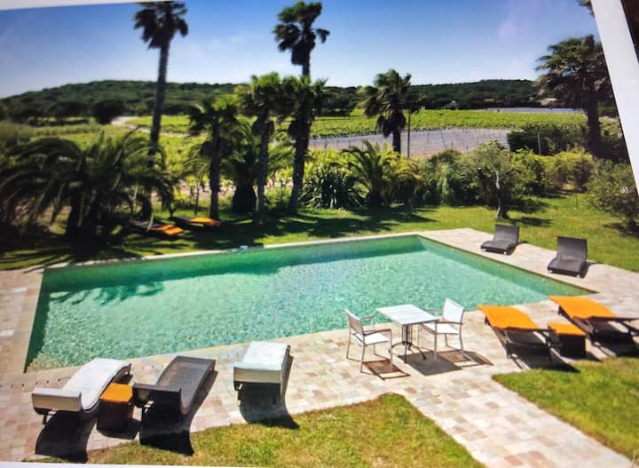 Villavineyards Wifi-ac-1000mshop-breakfast - Saint-Tropez