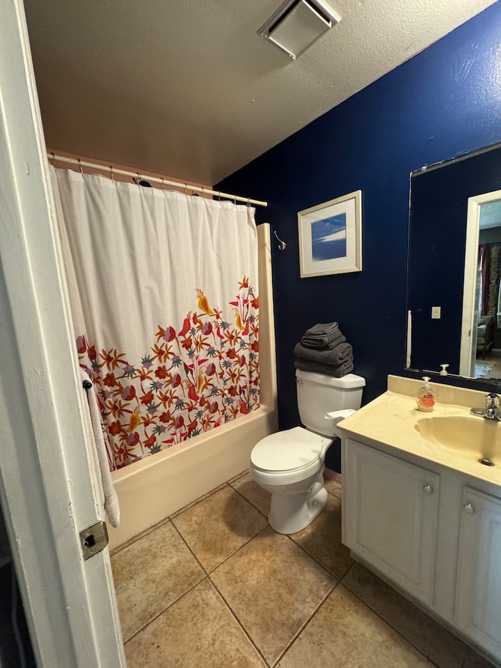 Pet Friendly Apartment - Lake Mary, FL