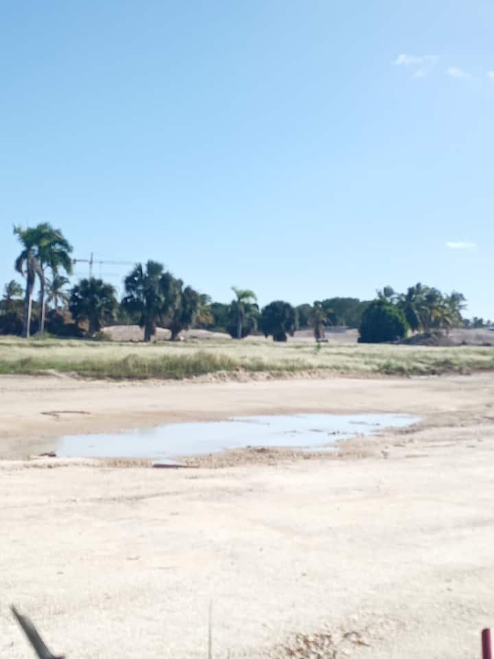 Cabeza De Toro - Punta Cana