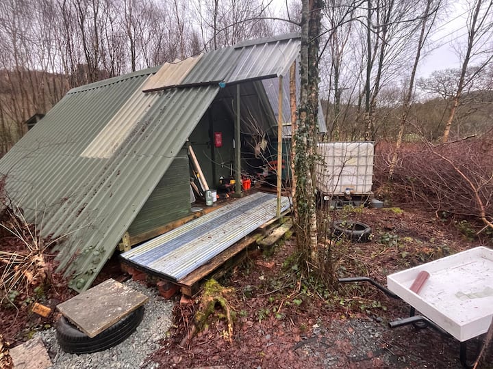 Snowdonia Woodland A-frame Bunkhouse - Portmeirion
