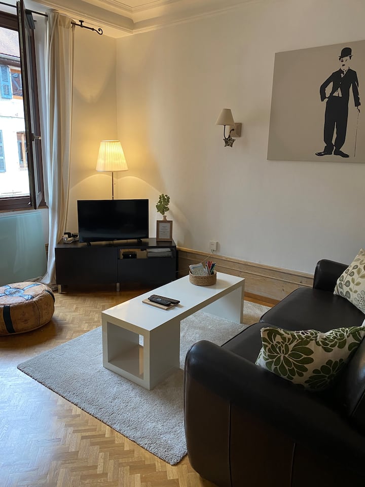 L'appart Du 6, Centre Et Lac - Annecy-le-Vieux