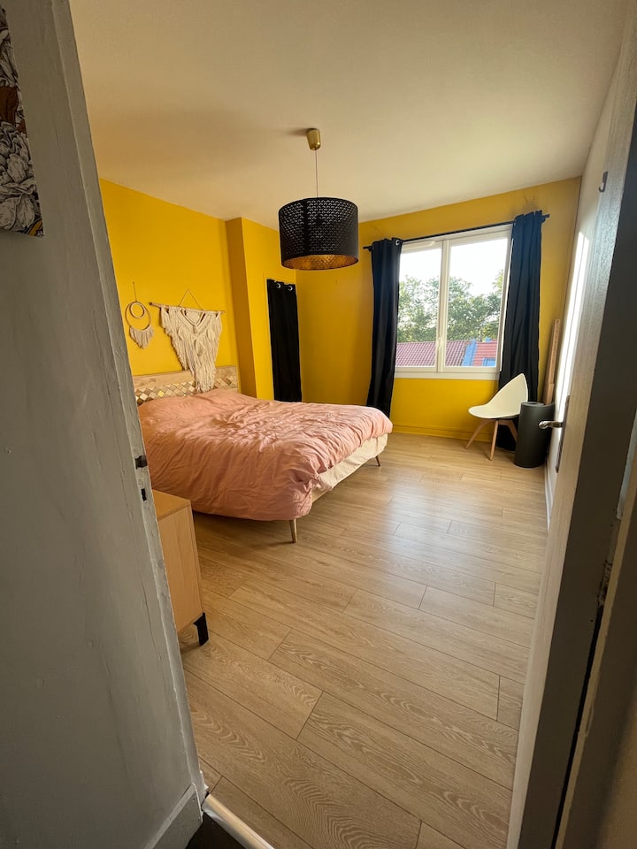 Chambre Cosy, Dernier éTage - Toulouse