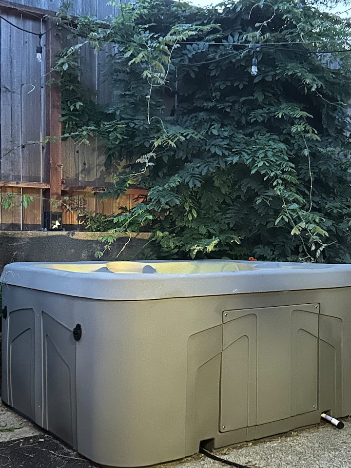 Chapel Hill/durham Retreat; Hot Tub, Massage Chair - Chapel Hill, NC