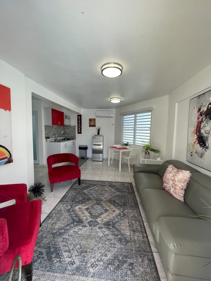 #1 Apartment Near Airport - Puerto Rico