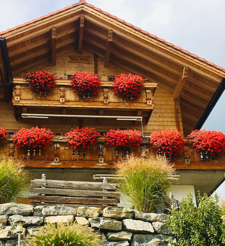 Chalet Alpenblick - Thun