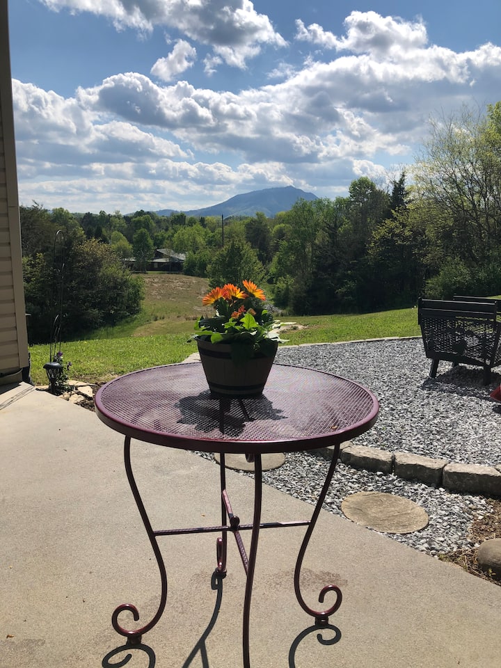Hillside Hideaway 1!  Quiet, Secluded, Convenient. - Sevierville, TN