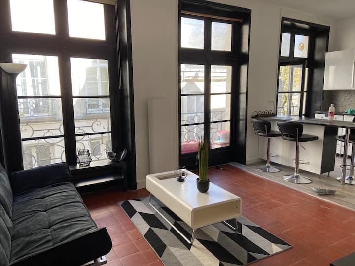Loft Near Historic Castle Hypercentre - Nantes