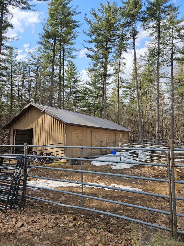 Creek & Cantor Lodge - Horses & Atvs Welcome - Whetstone Gulf State Park, Lowville