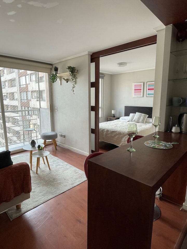 Cómodo Departamento En Stgo Completamente Equipado - Santiago