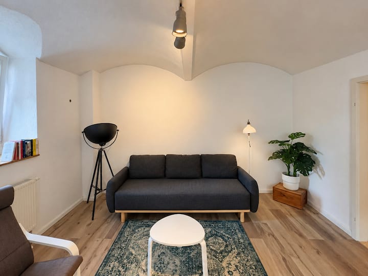 Stylish Basement Flat Near The Elbe And The City Centre - Dresda