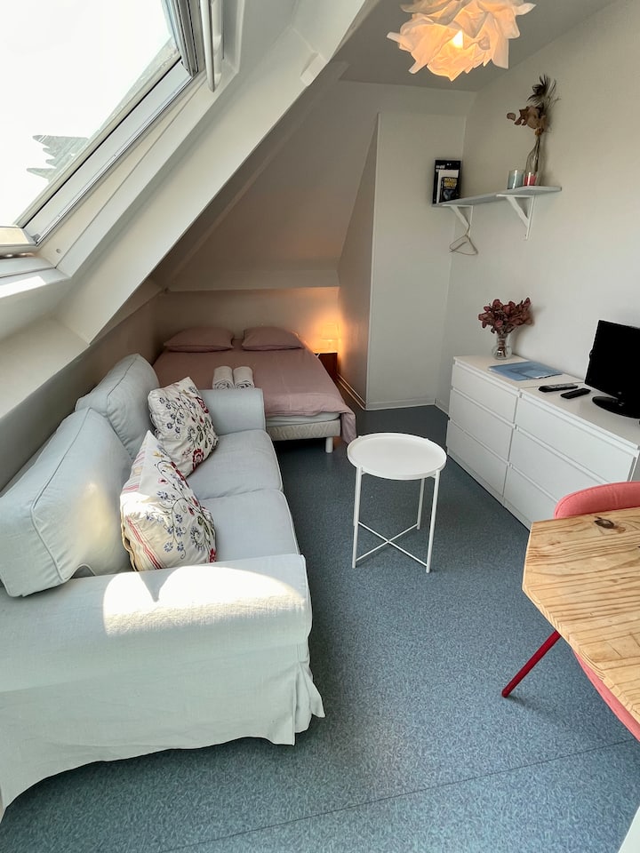 Studio Avec Parking Privé - Caen