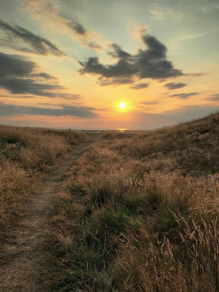 Nationalpark Vadehavet. 150 Meter Til Stranden. - Ribe