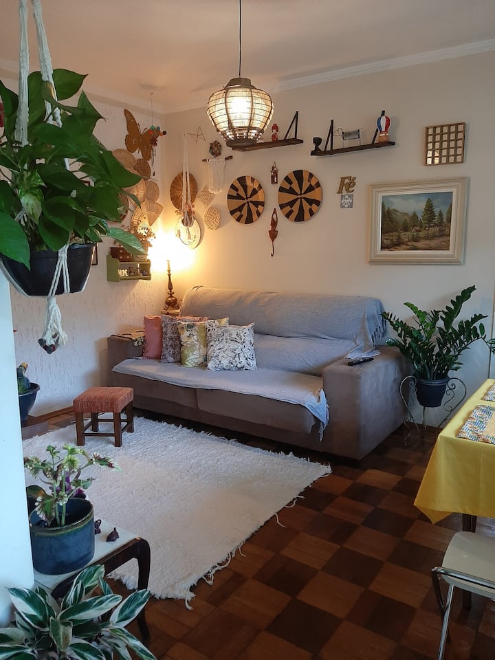 Casa Da Paz,área Verde E Energias Boas,no Centro - Serra Negra