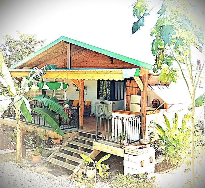 -Ecolodge Laïloas- - Marie-Galante