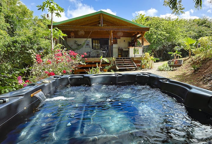 -Ecolodge Laïloas- - Marie-Galante