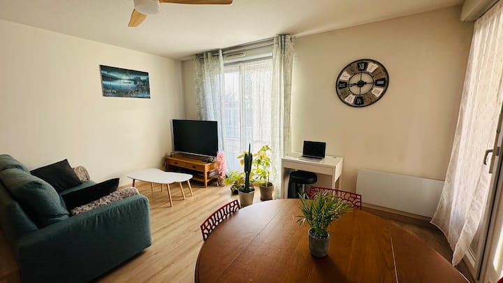 Charmant Appartement à 10mn D'airbus à Pieds - Toulouse