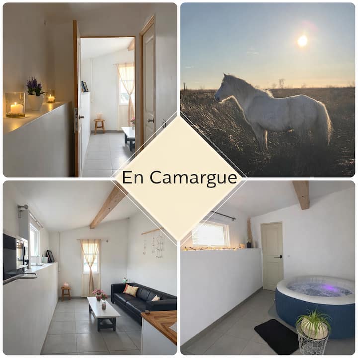 Immersion En Camargue Au Milieu Des Chevaux - Camargue