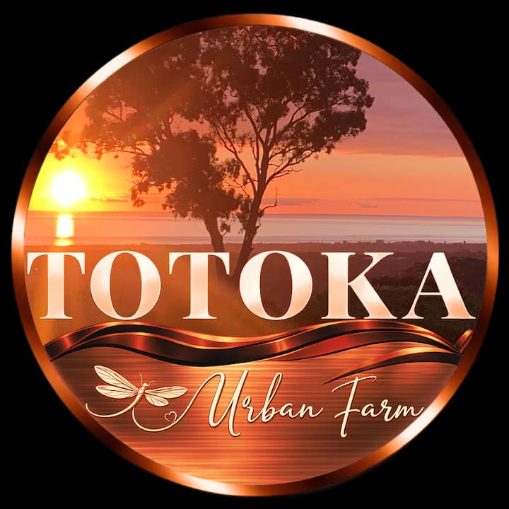Totoka Urban Farm - 