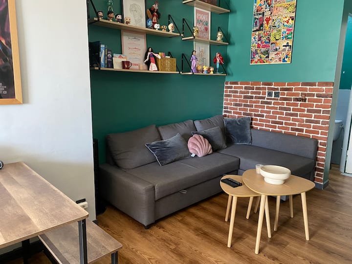 Appartement Thématisé "Pop Culture" - Parc de la Tête d'Or - Lyon