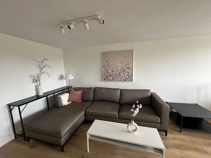 Mid-century Modern Apartment - London