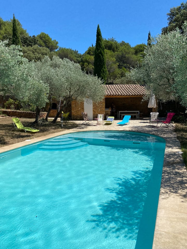 Grande Maison Familiale Avec Piscine En Provence - Malaucène