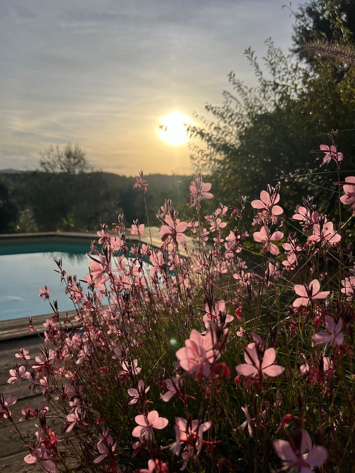Relax E Charme Tra Le Colline Del Chianti - Italy