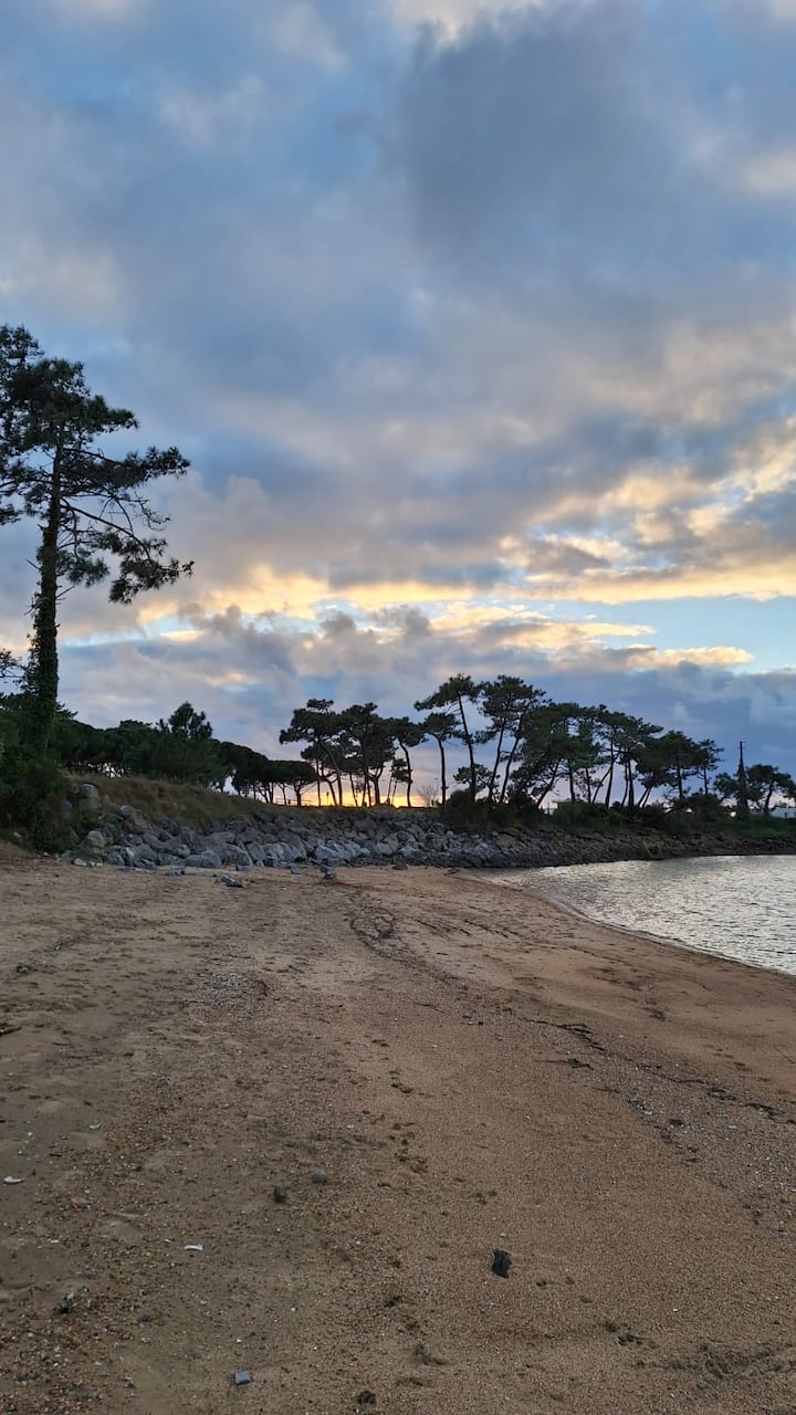 Ongi Etorri 64 - Bayonne