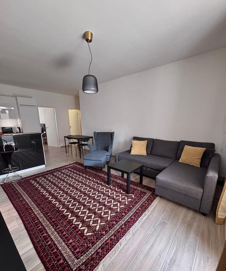 Beautiful Apartment Near The Rhine & City Center - Basel