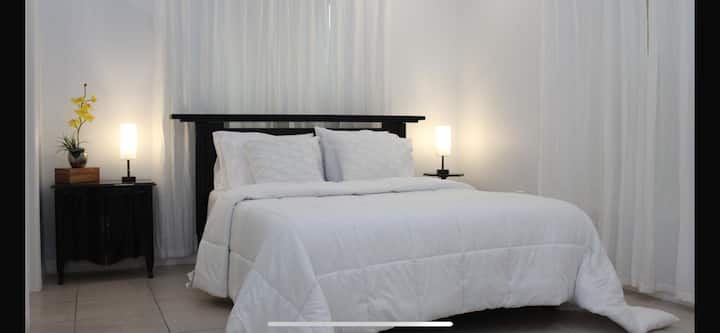 Little Paradise - Orlando