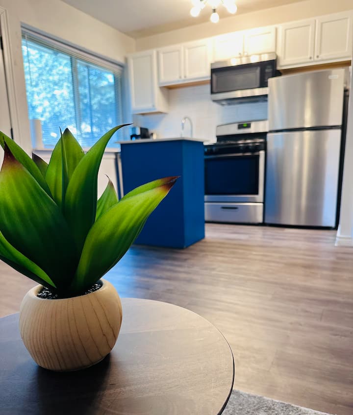 Downtown Soco Condo - Walk To Shops & Restaurants! - Austin