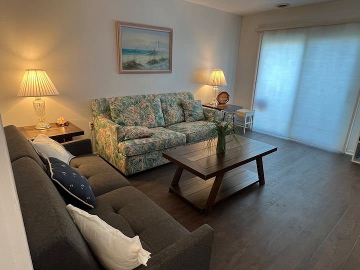 Snowbird Special. Townhouse At The Beach - Myrtle Beach