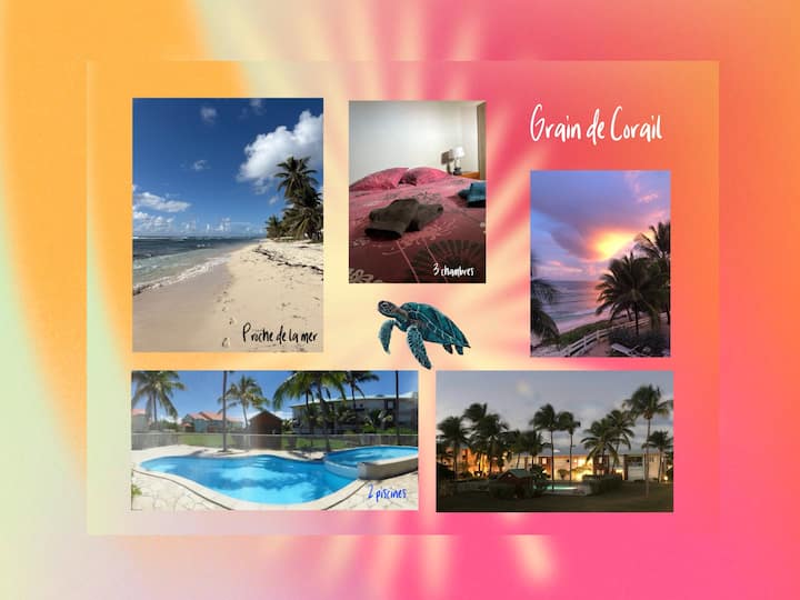 Grain De Corail, 
Résidence Crystal Beach - Guadeloupe