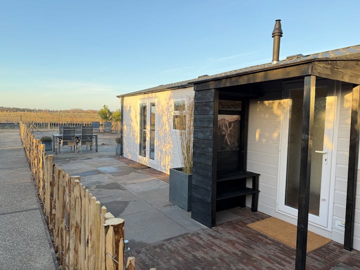 Chalet Tulpen & Duinen  - Wassenaar -  Strand - Wassenaar