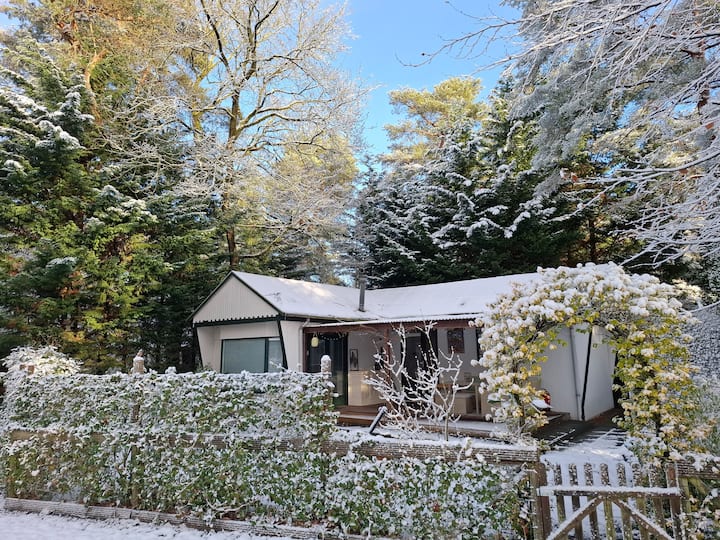 Chalet 'Ekorn' Op Rustig Bospark Dicht Bij Hei - Zwolle